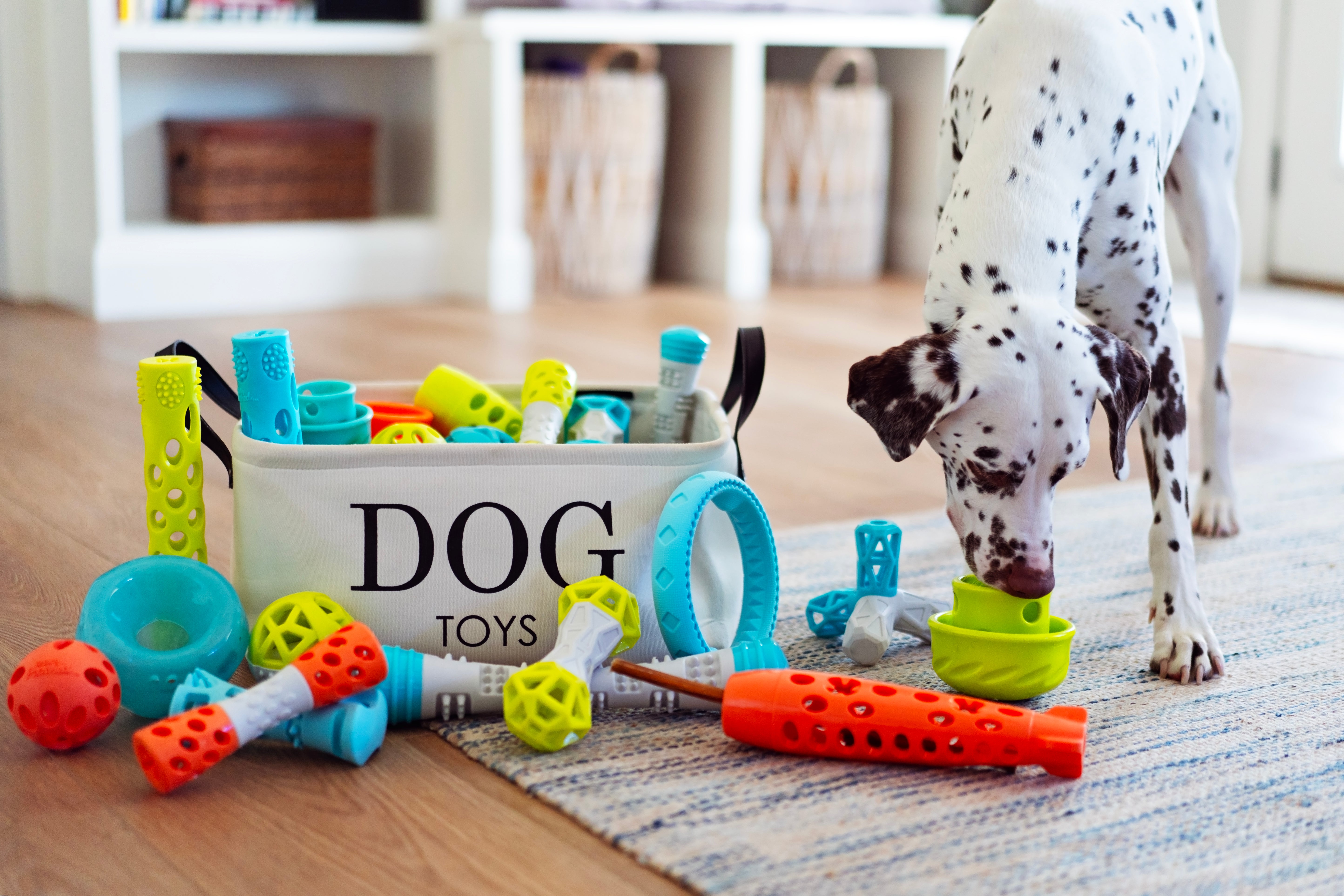 Dog toys | Totally Pooched Toys | Messy Mutts – MessyMutts