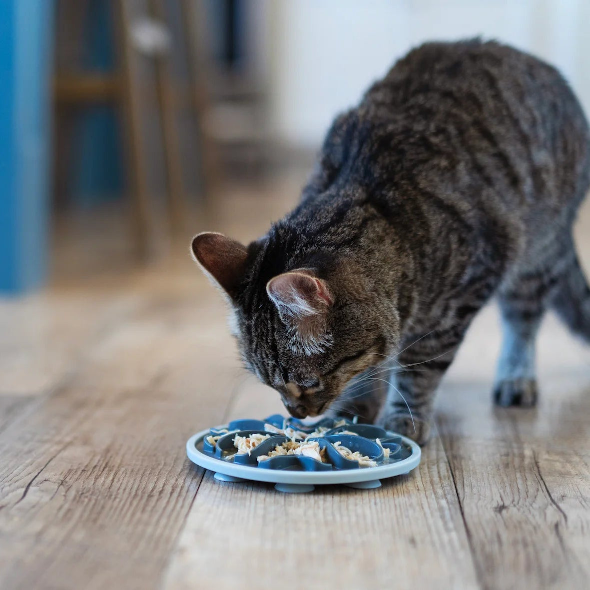Interactive Cat Slow Feeder | Non Slip | Suction Cups | Messy Cats